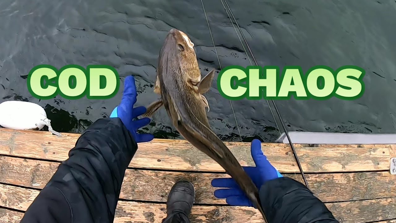 Tjongsfjord Lodge ® : Arctic Circle fishing in Norway